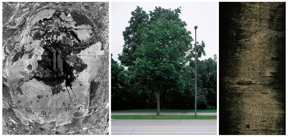 Memory. Imprints of Destruction and Rebellion of Life - Centar za kulturu